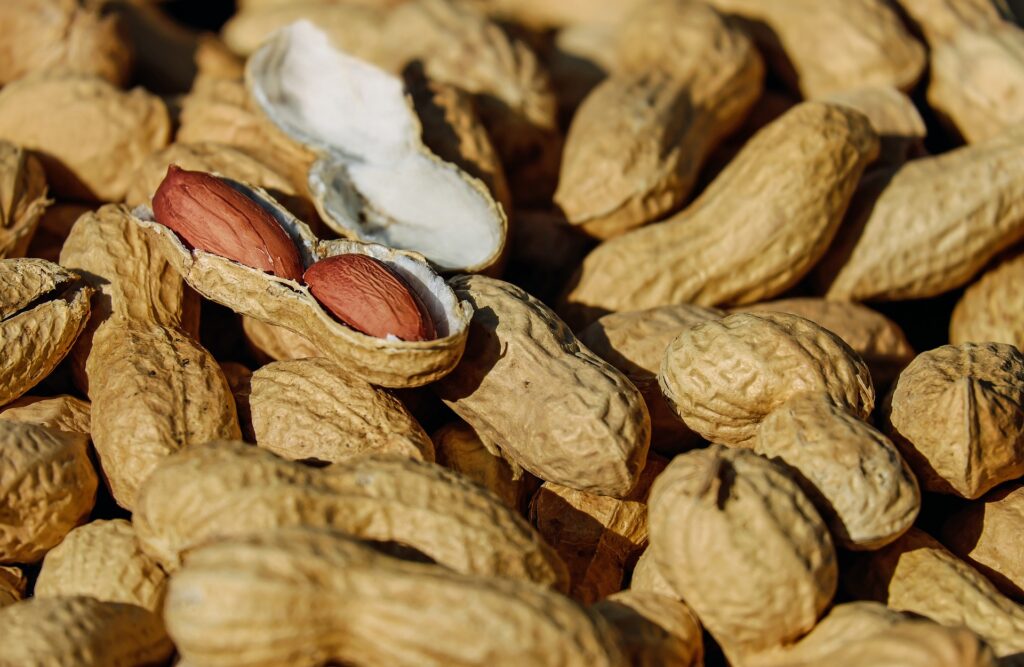 Peanut Recipes / Soups, Croquettes, Macaroons, and more – Vintage ...
